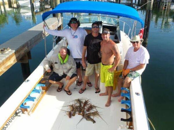 Gallery, Videos, and Commerical Audio - Equalizer Lobster Snare